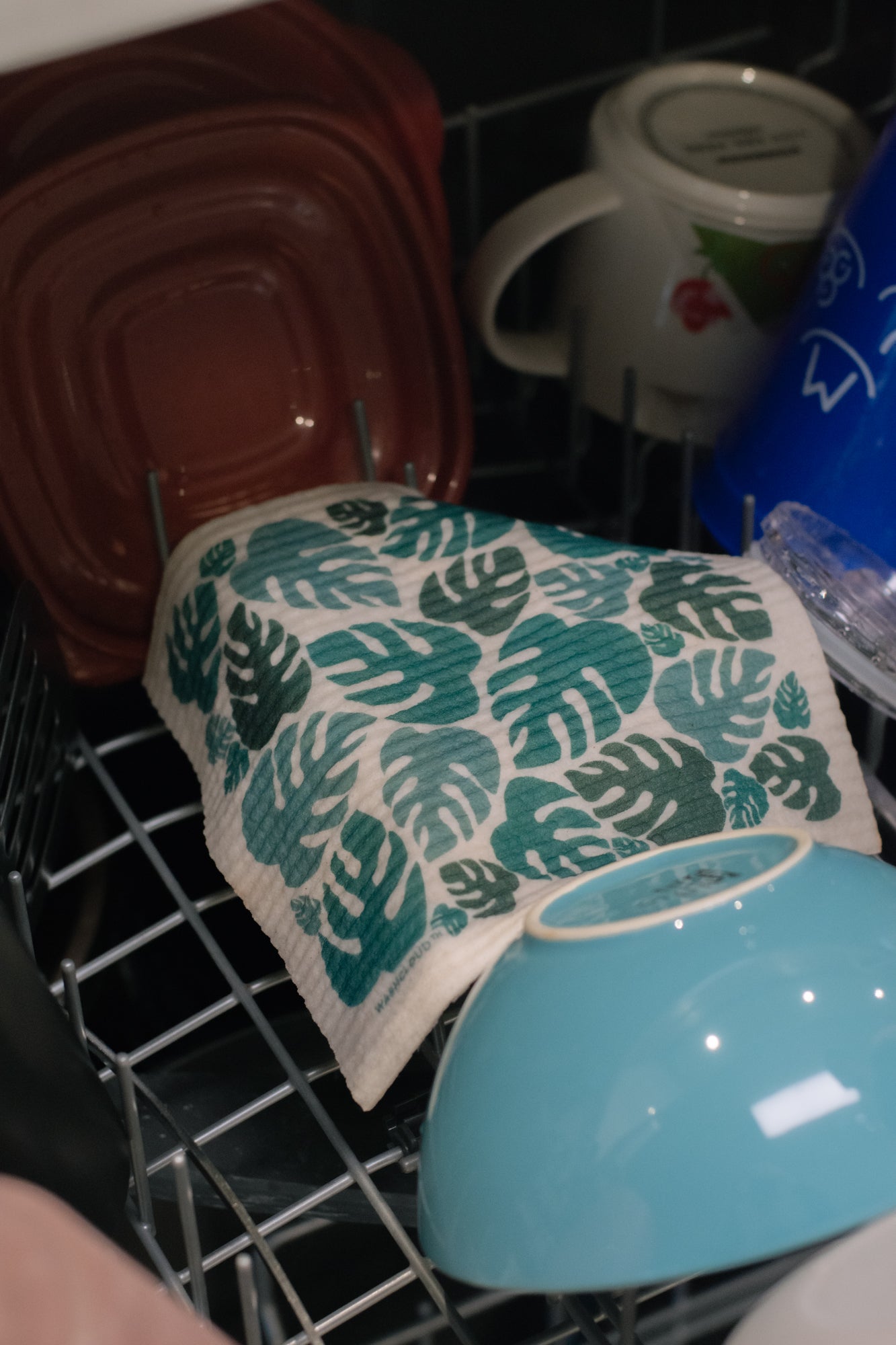 WASHCLOUD® - MONSTERA FLORA - No Tox Life® – Bluedot Living Collection