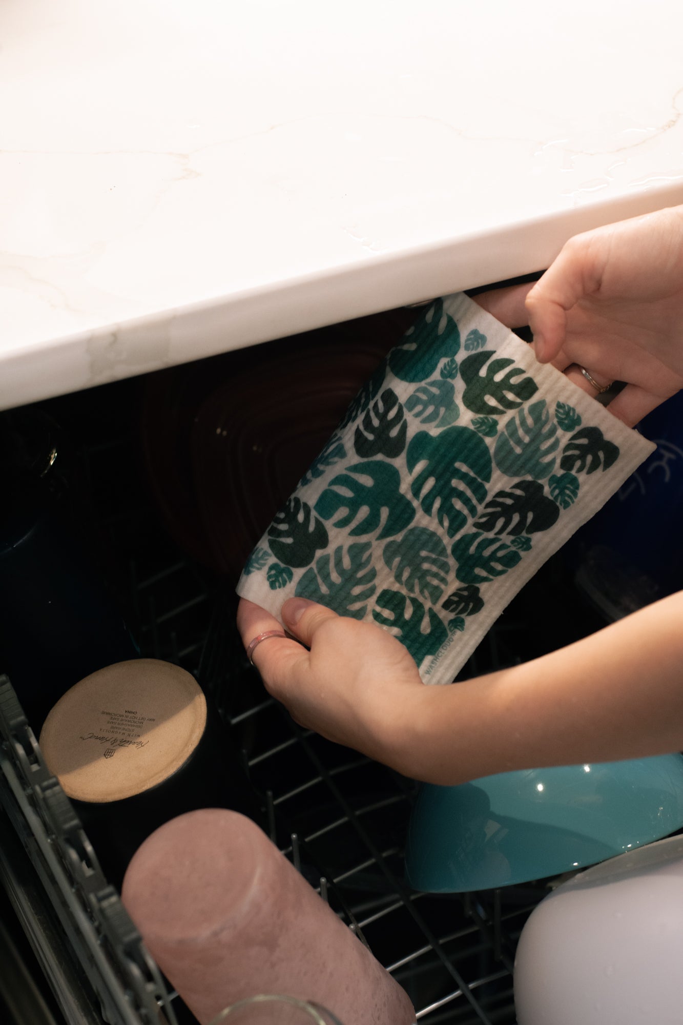 WASHCLOUD® - MONSTERA FLORA - No Tox Life® – Bluedot Living Collection