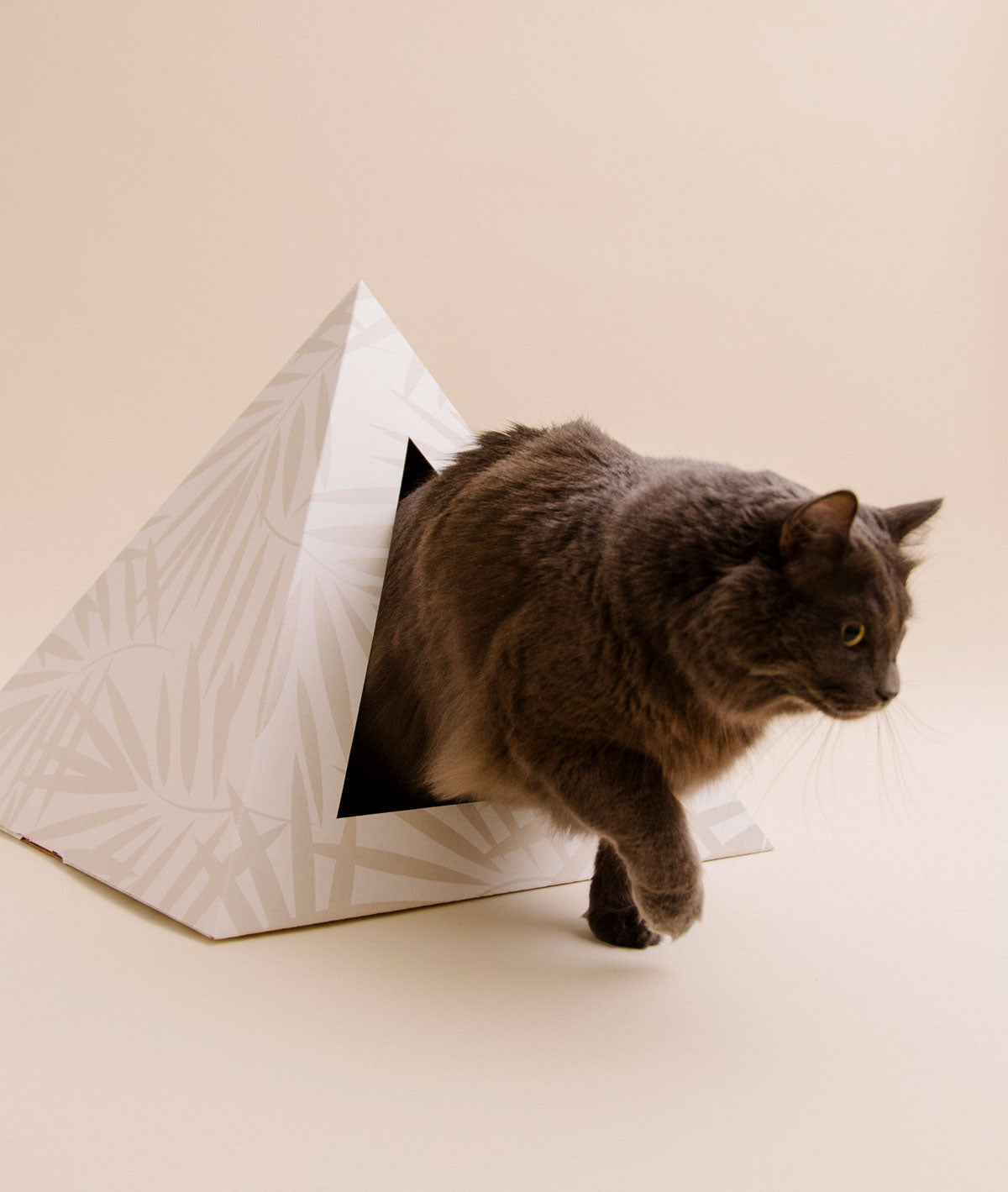 'Neutral Palm' Cardboard Cat Pyramid – Bluedot Living Collection